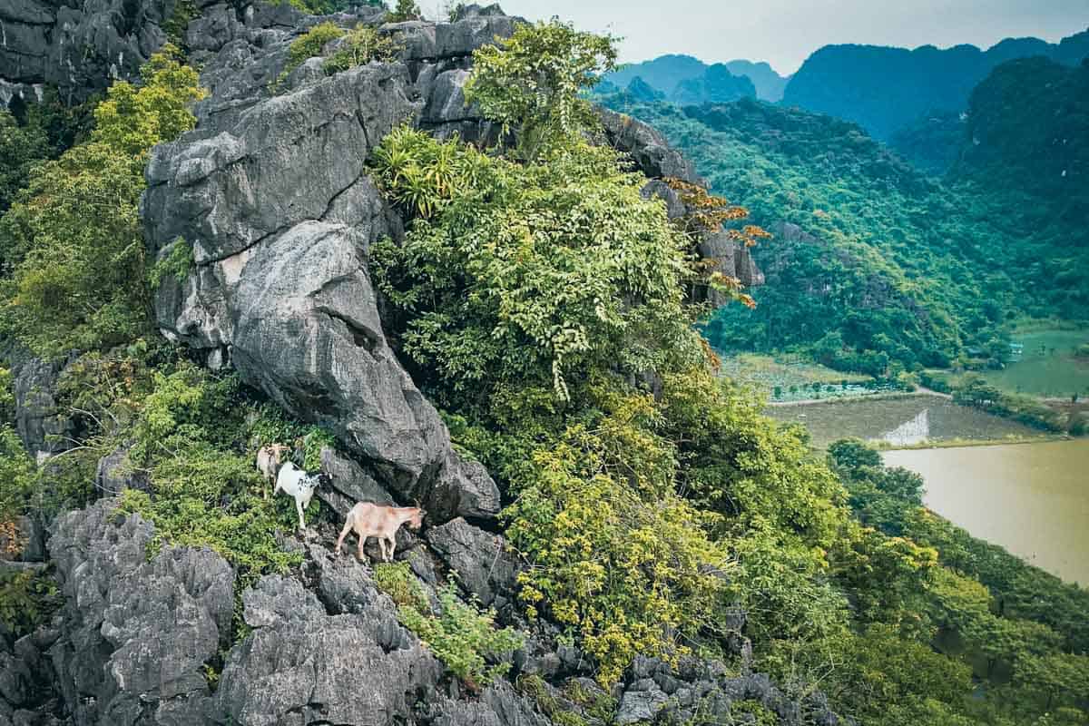15 Epic Things to Do in Ninh Binh and Tam Coc For Your Next Vietnam Trip