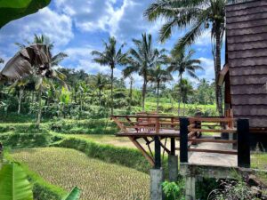 8 Insanely Beautiful Lombok Waterfalls that'll Make You Forget Bali