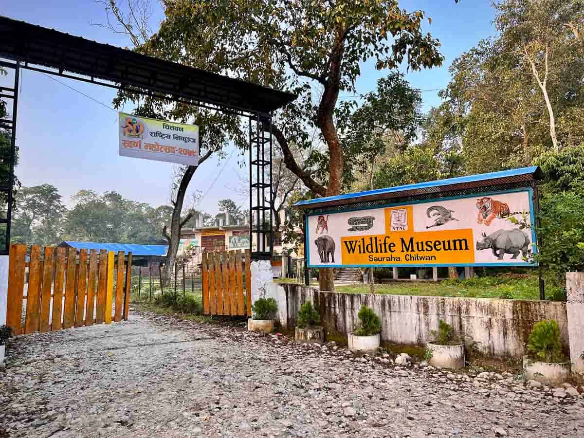 Move Over Africa! 14 Must-Do Experiences in Chitwan, Nepal's Ultimate Safari Destination