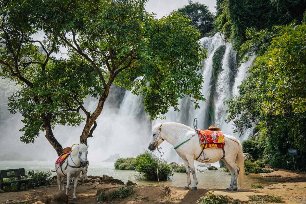 Ban Gioc Waterfall: How to Visit One Of The Most Remote and Largest ...