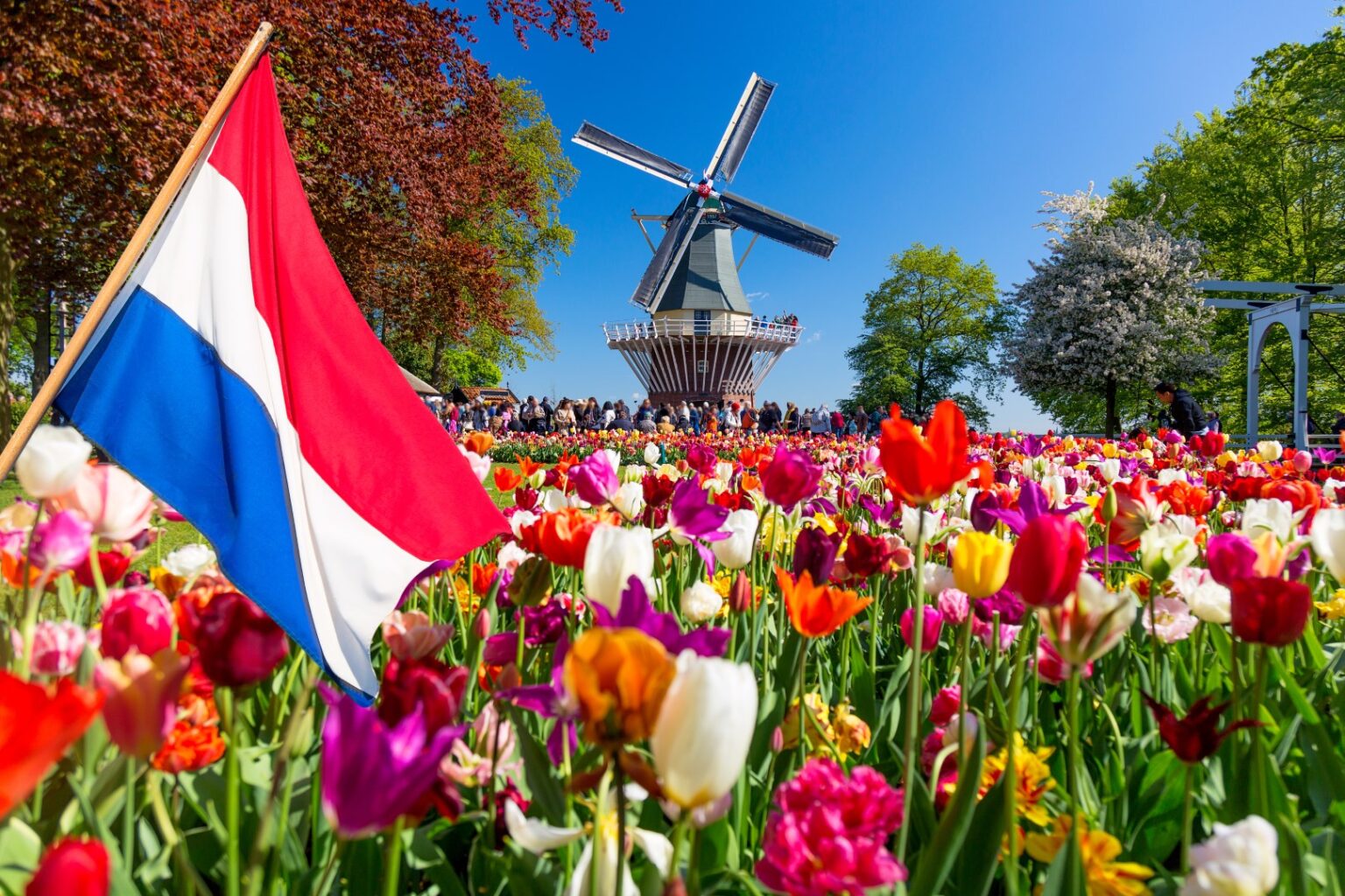 59 Inspired March Bucket List Adventures That Celebrate the Start of Spring