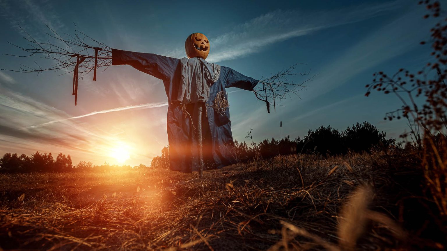 60+ Halloween Bucket List Ideas That Make October Feel Spooktacular