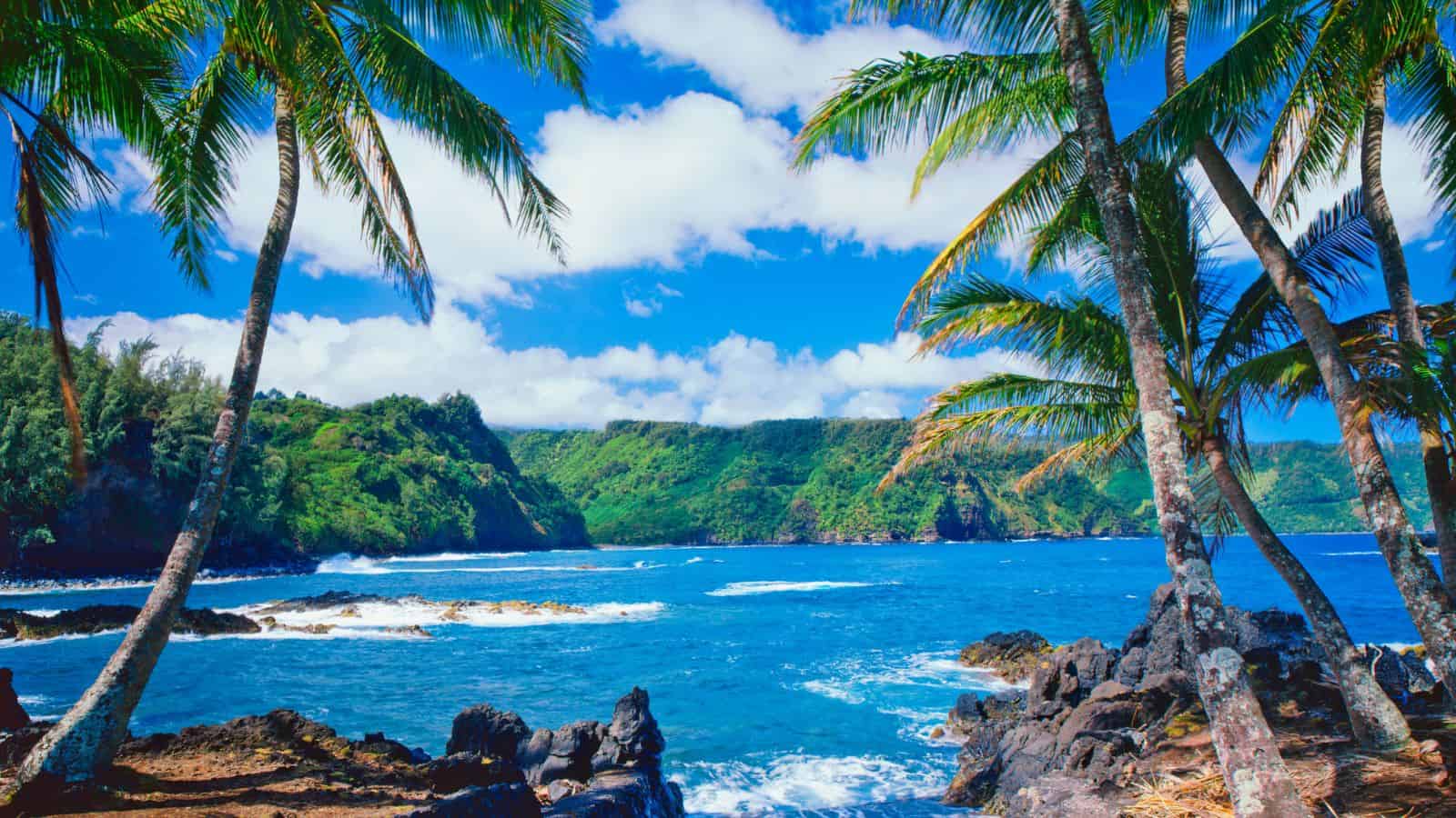 40+ Hawaii Packing List Essentials That Make Island Life Effortless and Fun